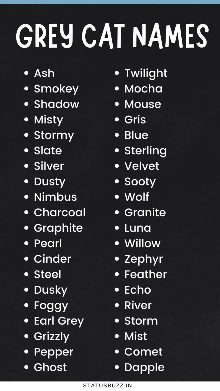 250+ Unique Grey Cat Names - Biz Minds