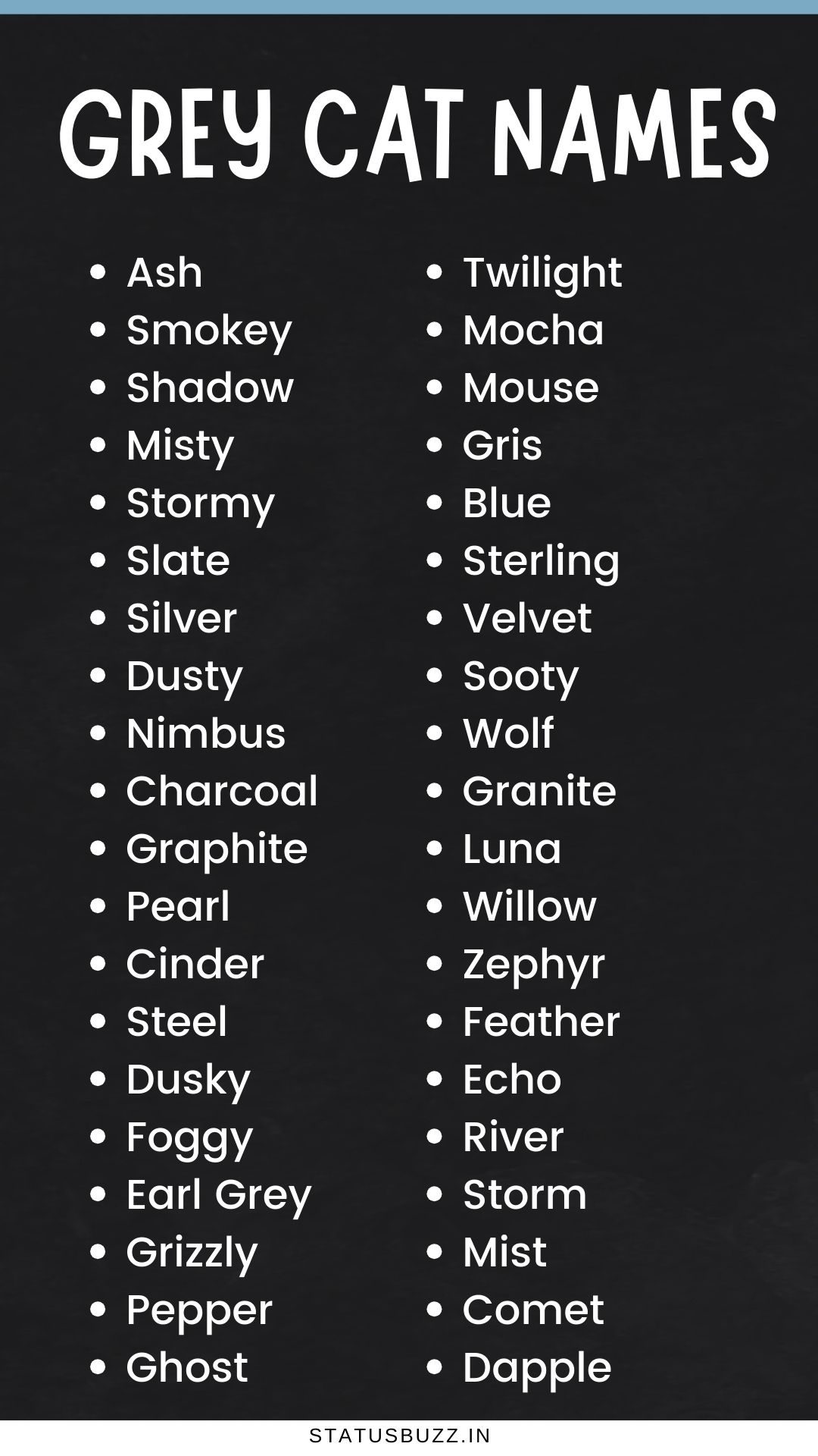 250+ Unique Grey Cat Names - Biz Minds