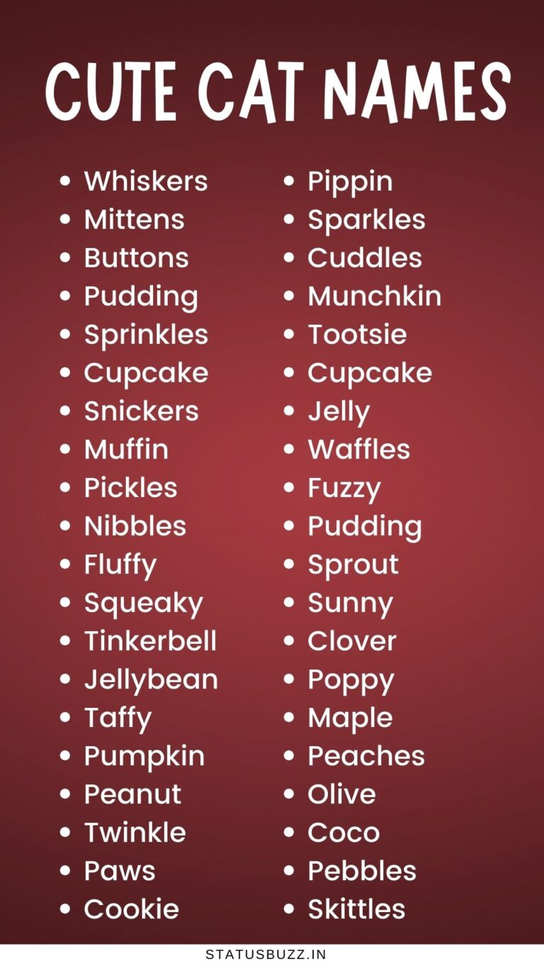300+ Adorable Cat Names - Biz Minds