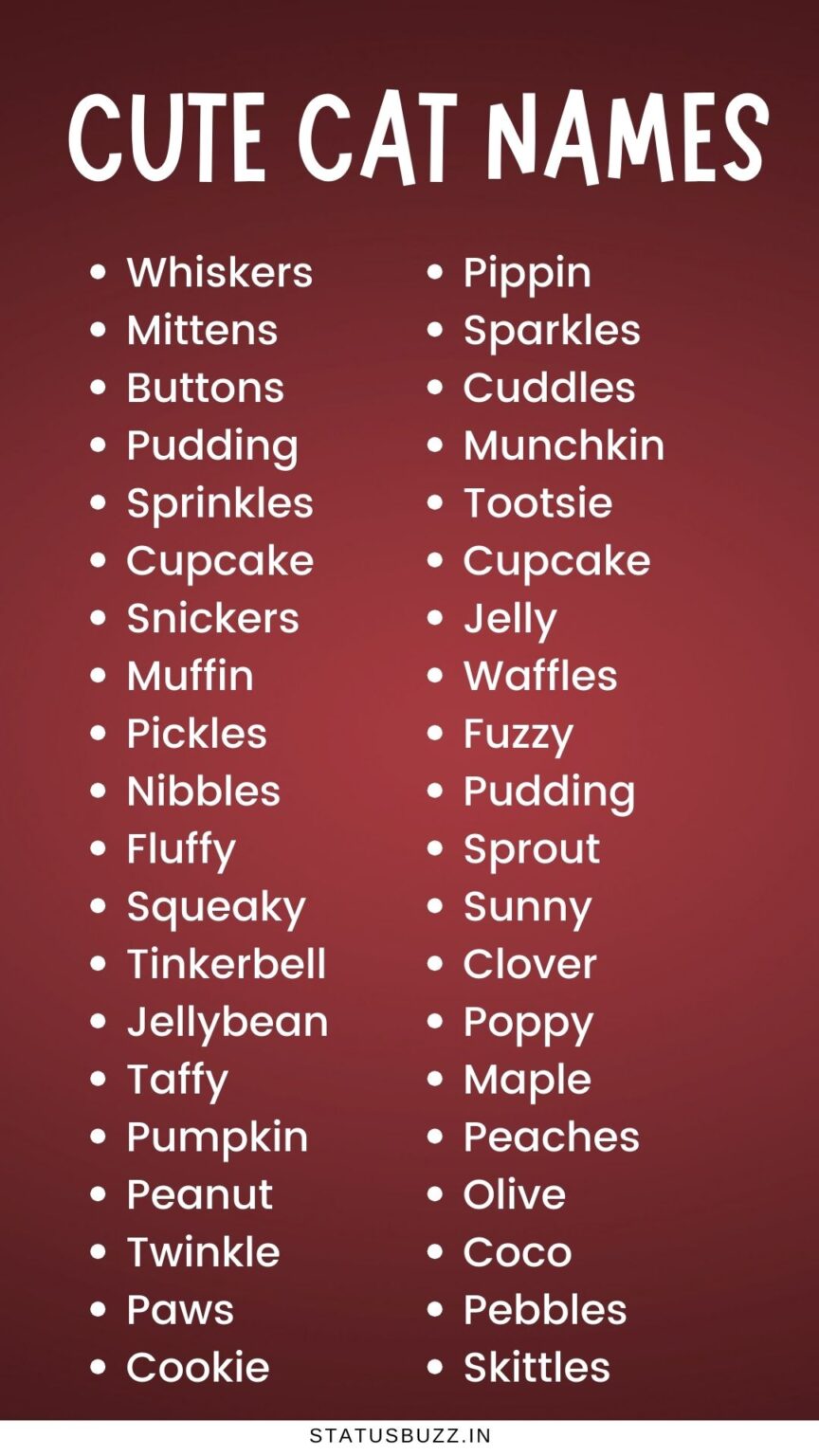 300+ Adorable Cat Names - Biz Minds