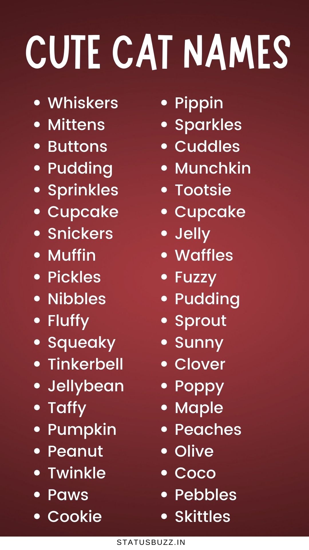 300+ Adorable Cat Names - Biz Minds