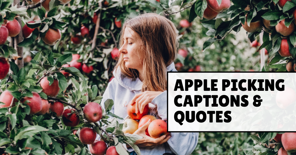 70+ Apple Picking Captions & Quotes - Biz Minds