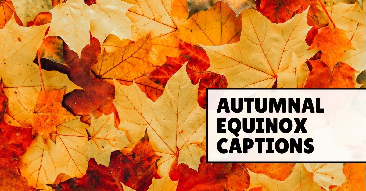 60+ Autumnal Equinox Captions & Quotes - Biz Minds