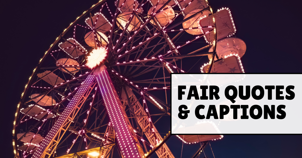 90+ Fair Captions & Quotes For Instagram - Biz Minds