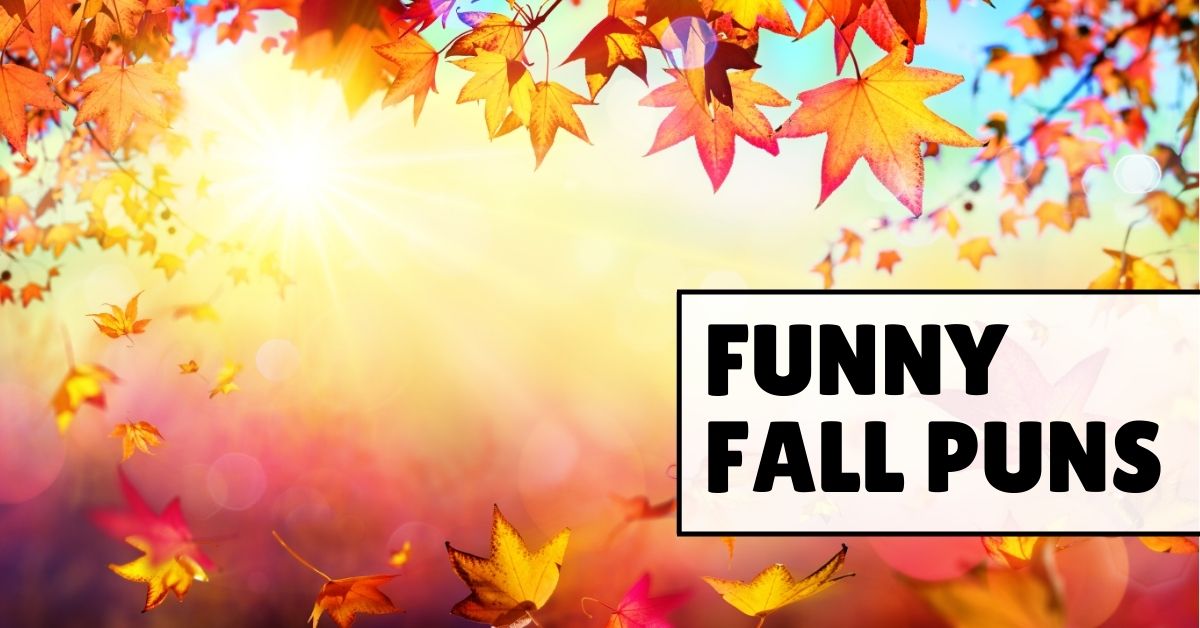 100+ Pumpkin Puns for a Good Laugh! - Biz Minds