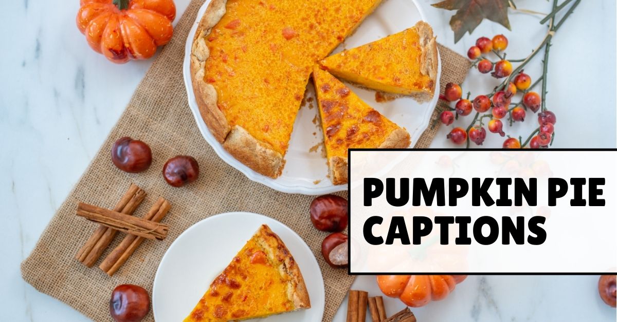 120+ Pumpkin Pie Captions For Instagram - Biz Minds